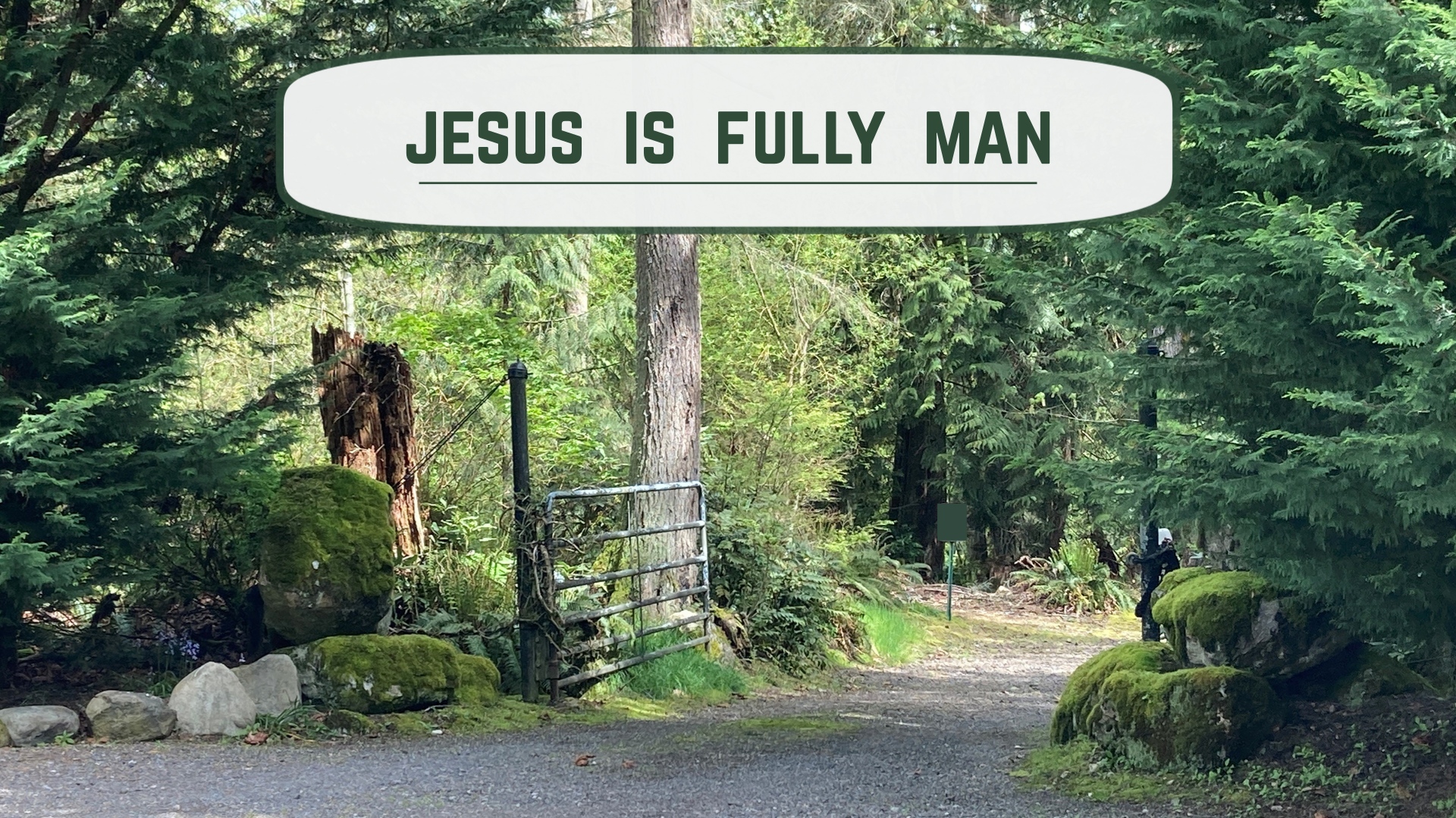Jesus is fully man - Daily Blessing