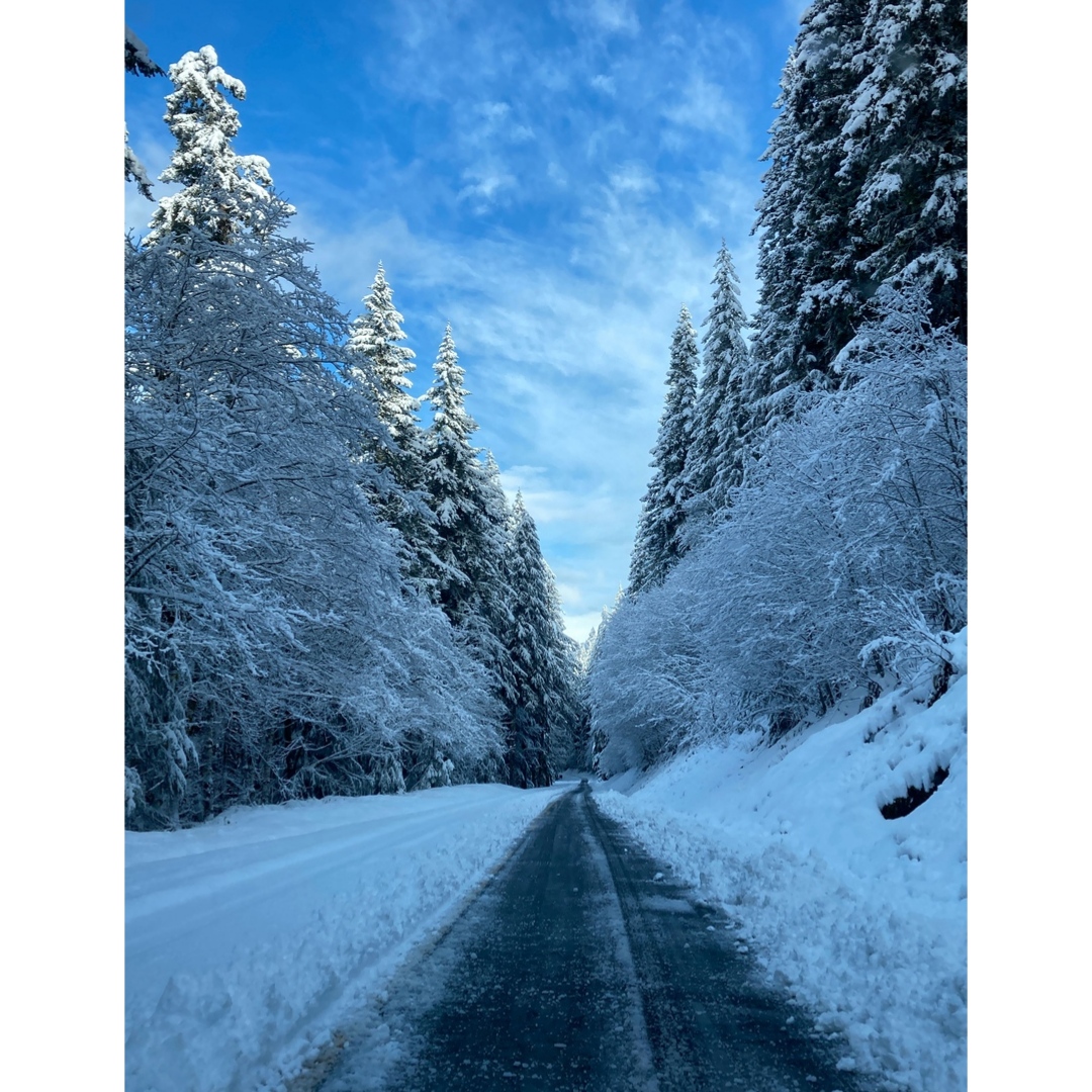 Just stay in the cleared path - Daily Blessing Life Lessons
