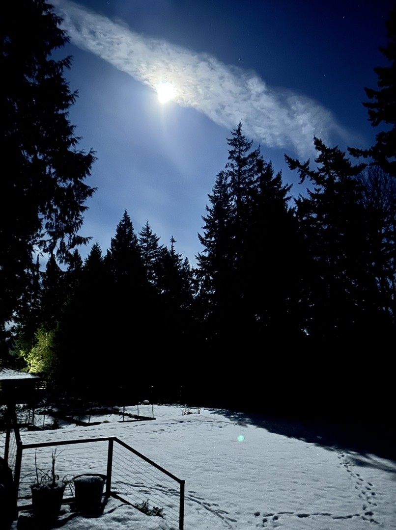Moon Snow Glow! - Daily Blessing Lessons from the forest